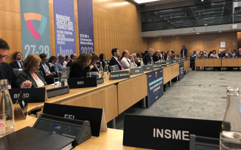OECD Ministerial Meeting – INSME